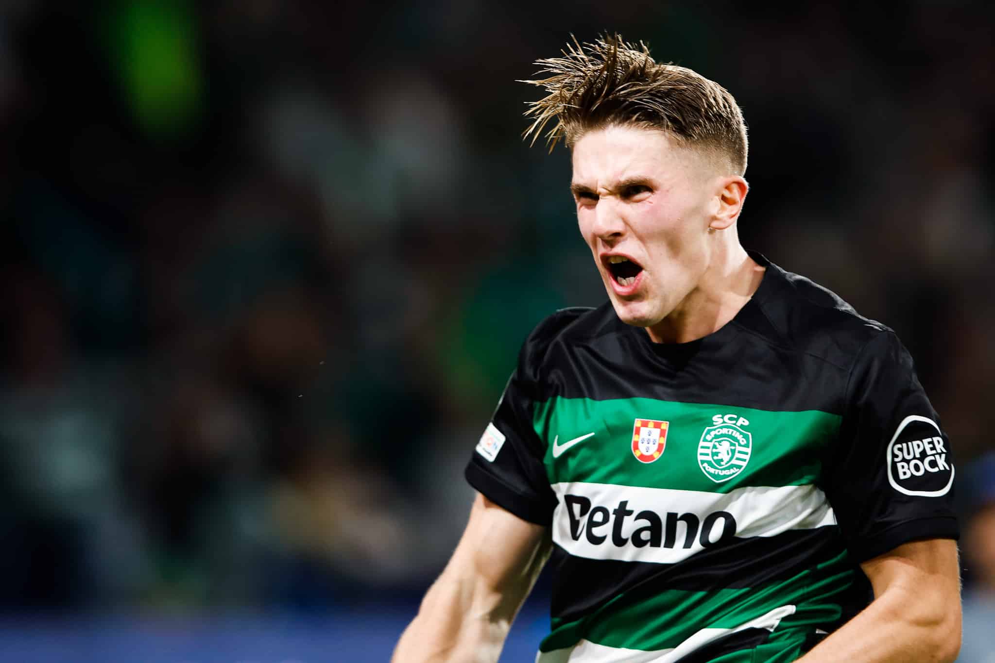 Le classement des meilleurs buteurs européens